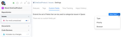 custom fields in issues jetbrains space documentation
