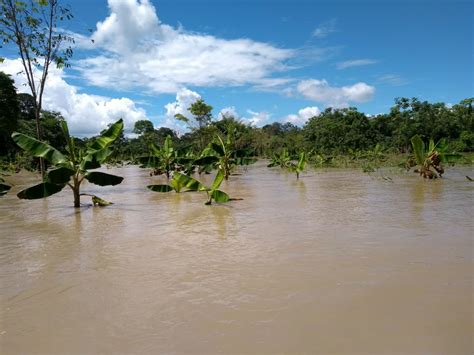 Creciente Del Río Guayabero Y Guaviare Afectan Primeros Centros Poblados
