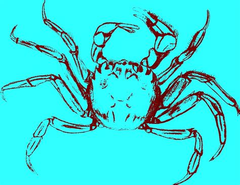 Arthropod Arthropoda Crab Free Photo On Pixabay Pixabay