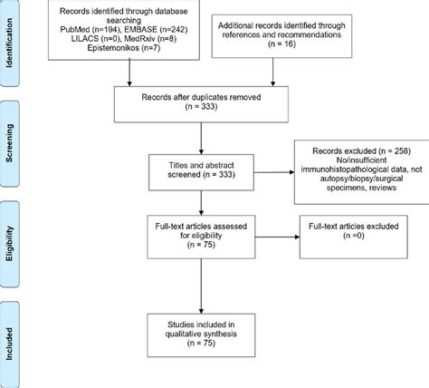 Prisma Flow Diagram Of Literature Search And Selection Process