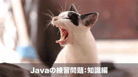 入門者向けトレーニングJavaの練習問題知識編