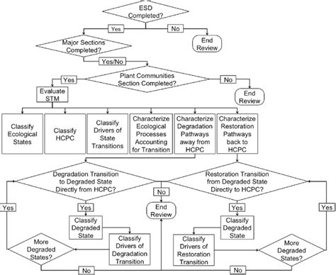 flow diagram showing the systematic process we used to review and