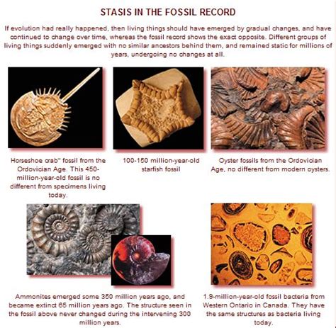 The Fact Of Creation The Adequacy Of The Fossil Record