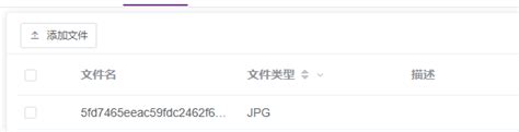 BUG 文件管理上传的文件再后台被存成文件夹 Issue 20658 metersphere metersphere GitHub