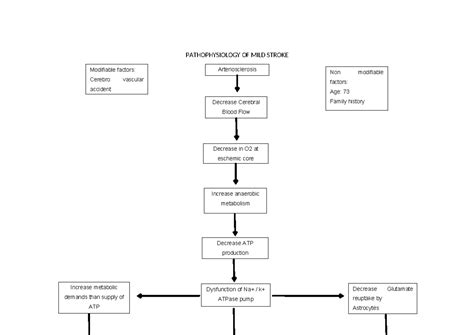 Pathophysiology Of Mild Stroke Pathophysiology Of Mild Stroke