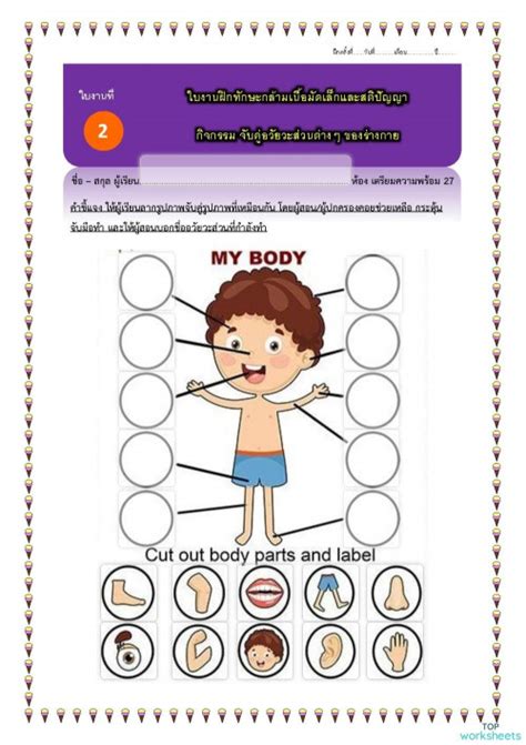 ใบงานจับคู่ลากวางร่างกายของเรา ใบงานเชิงโต้ตอบ Topworksheets