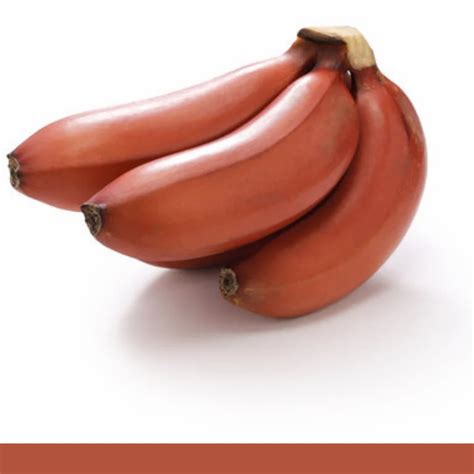 A Grade Superior Red Banana Packaging Type Carton Packaging Size 50
