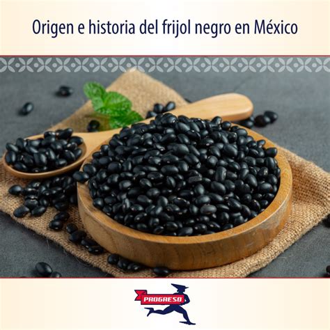 Origen E Historia Del Frijol Negro En México Grupo Progreso