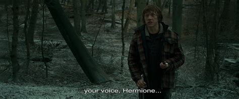 Bellatrix And Hermione Torture Scene