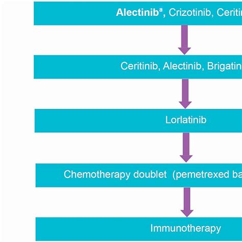 Treatment Algorithm For Advanced Nonsquamous Non Smallcell Lung Cancer Download Scientific