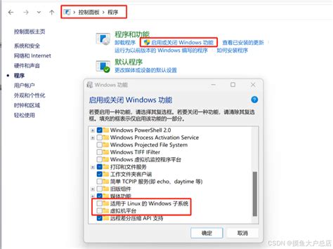 VMware请在主机上通过打开或关闭Windows功能安装Windows hypervisor platformWHP或者从系统中