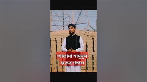 আল্লামা মামুনুল হকের গজল।জিন্দা শাহজালাল শুনুন Youtube