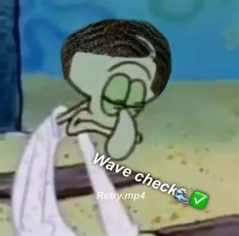 Wave Check 🌊🏄‍♂️🌊 Dank Memes Amino