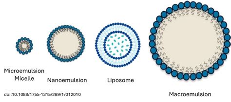Emulsion Nanoemlusion Microemulsion Micelle And Liposome Nature