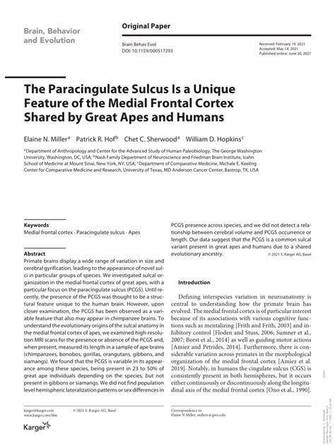 Pdf The Paracingulate Sulcus Is A Unique Feature Of The Medial