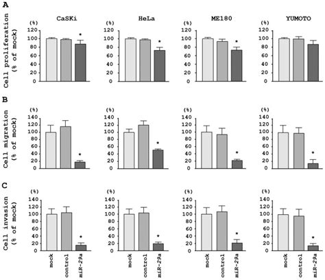 Effects Of Mir 29a Restoration On The Proliferation Migration And