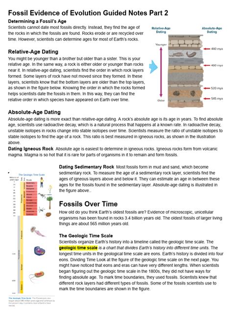 Fossil Evidence Of Evolution Guided Notes Part 2 Pdf Rock Geology