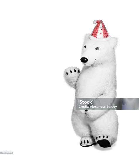빨간 모자를 쓴 북극곰 장난감이 손을 흔들며 인사를 건네고 있습니다 흰색 배경에 고립 된 북극곰 귀여운에 대한 스톡 사진 및 기타 이미지 Istock