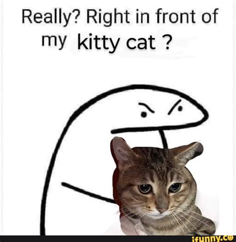 Really Right In Front Of My Kitty Cat Ifunny