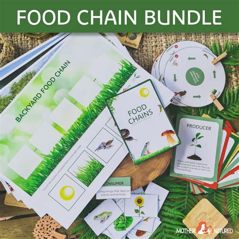Food Chain Printables Bundle Food Web Printables Bundle Food Chain