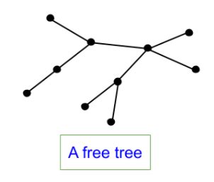 Trees Flashcards Quizlet