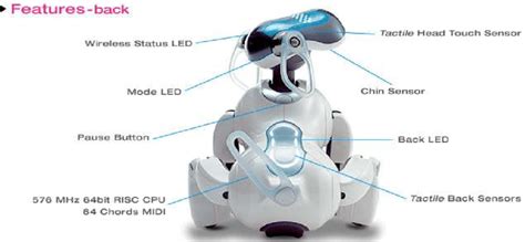 The Features Of Aibo Robot Download Scientific Diagram