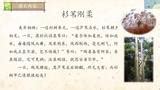 小学经典小古文微课视频 第16课杉苇刚柔 古文 视频 经典