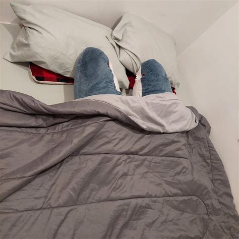 Just 2 Blåhajs In Bed...Definitely Nothing Going On Here : r/trans