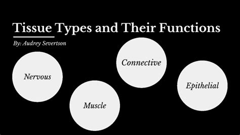 Tissue Types By Audrey S On Prezi