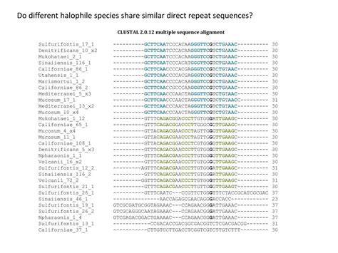 Ppt Crispr Direct Repeat Sequences Powerpoint Presentation Free