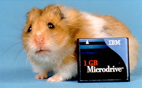 日本ibm、1gb512mbのmicrodriveを発表