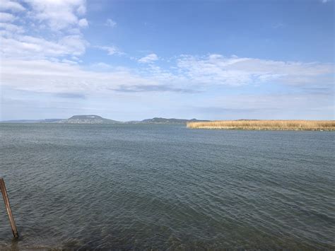 발라 톤 호수 물 아름 Pixabay의 무료 사진 Pixabay