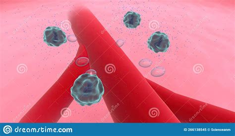 Anaphylaxis Histamine Release And Vascular Edema Stock Illustration Illustration Of Lymphatic