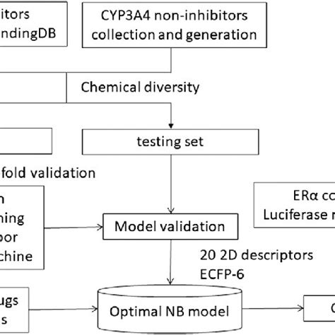 Workflow For Classification Models Building Validation And Virtual