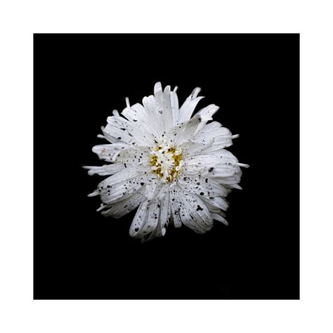 Liis Karu “dirty Astrid” Artrovert Kaasaegse Kunsti Galerii