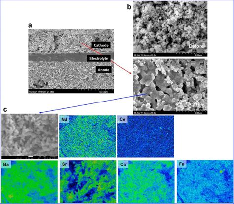 Sem Images And Epmawdx Analyses Of Anode Supported Cell After