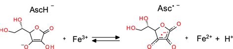 Reduction Of Fe 3 By Ascorbate Anion Asch Resulting In The