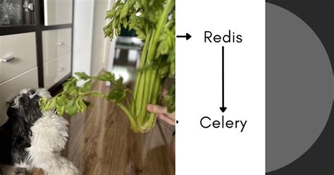 List Celery Curated By Alina Bazavan Backend Developer Python