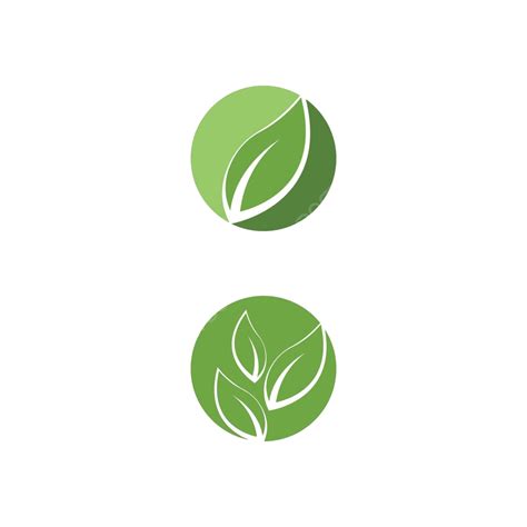 Leaf Logo Template Vector Symbol Decorative Growth Foliage Vector