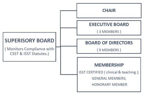 Statutes Of The China Society For Sandplay Therapy 国际沙盘游戏治疗学会中国学会（csst）