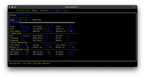 Build In Public Nview Learning Is An Ongoing Process Many… By Blink Labs Jun 2023 Medium