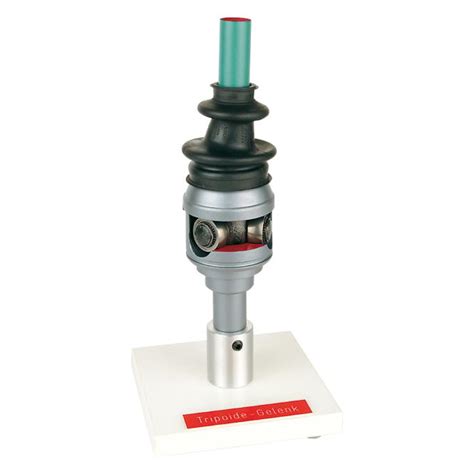 Ball And Socket Joint Christiani