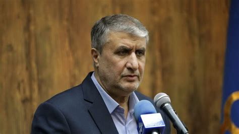 واکنش رئیس سازمان انرژی اتمی به قطعنامه شورای حکامنفوذ صهیونیستی غلبه دارد