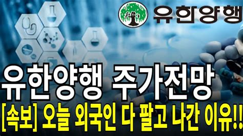 유한양행 주가전망 속보 오늘 외국인 다 팔고 나간 이유 Feat디에스경제연구소 케빈 Youtube