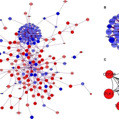 PPI Network Construction And Module Analysis A The PPI Network Of