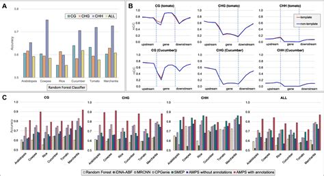Figure 1 From On The Prediction Of Non Cg Dna Methylation Using Machine Learning Semantic Scholar
