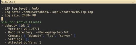 Using The Debputy Language Server In Debian With Neovim