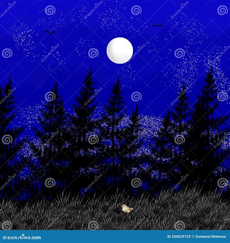 Cartoon Drawing At Night Blue Sky Pine Trees And Stars Stock Image