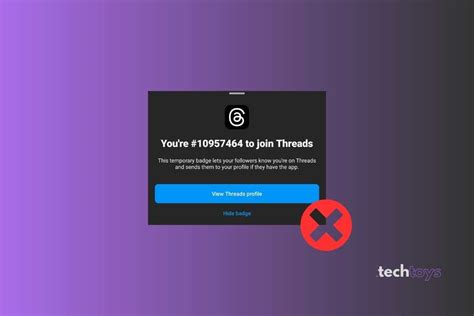 How To Remove Threads Badge From Instagram Bio The Techtoys