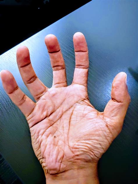 Proof Of Evolution Wordonism